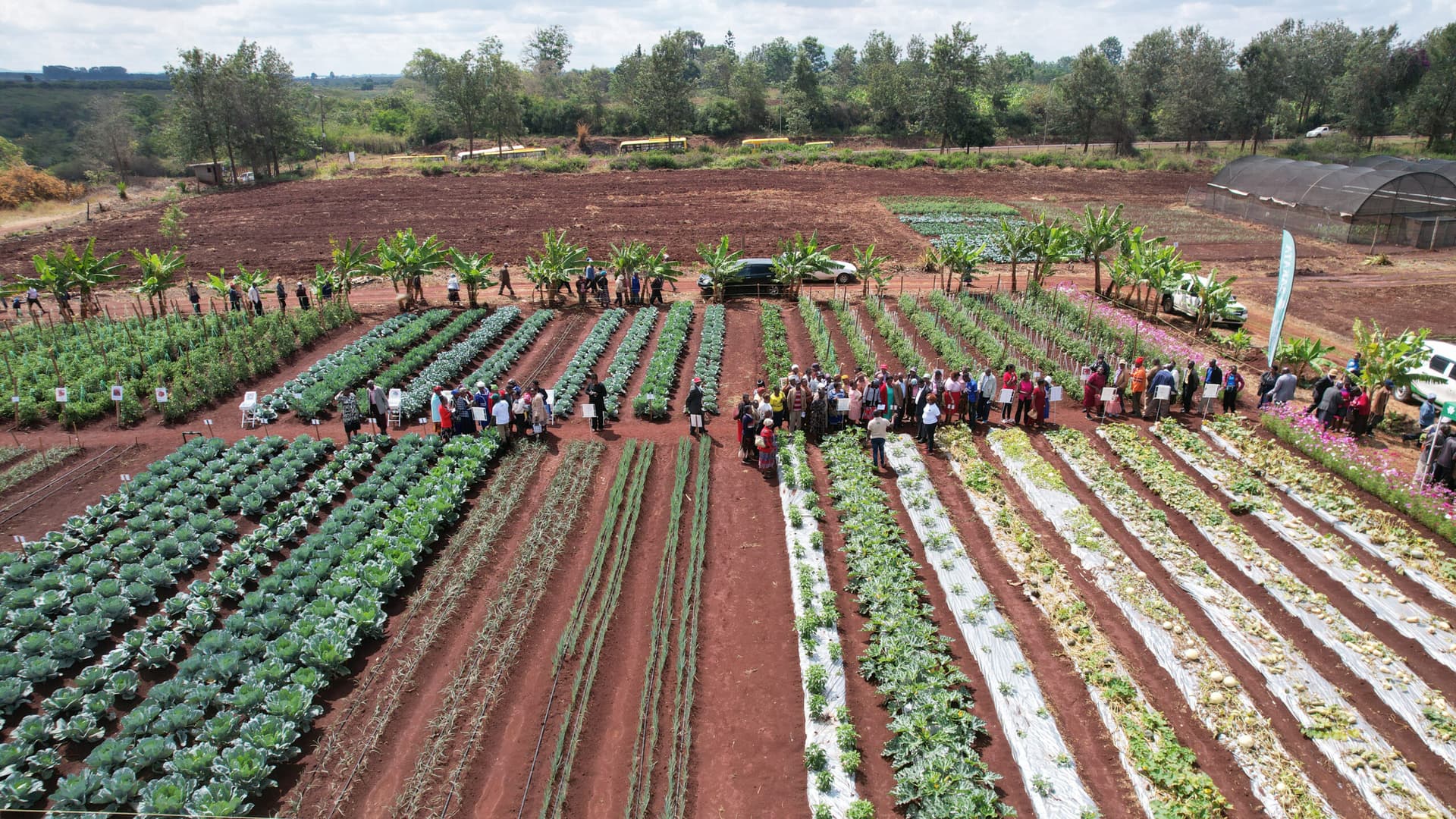 About us - Sustainable Agricultural Foundation